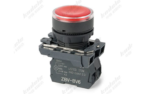 How to Choose the Right Push Button with Indicator Lamp for Your ...