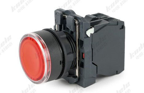 What Is a Push Button with Indicator Lamp? Definition and Working ...